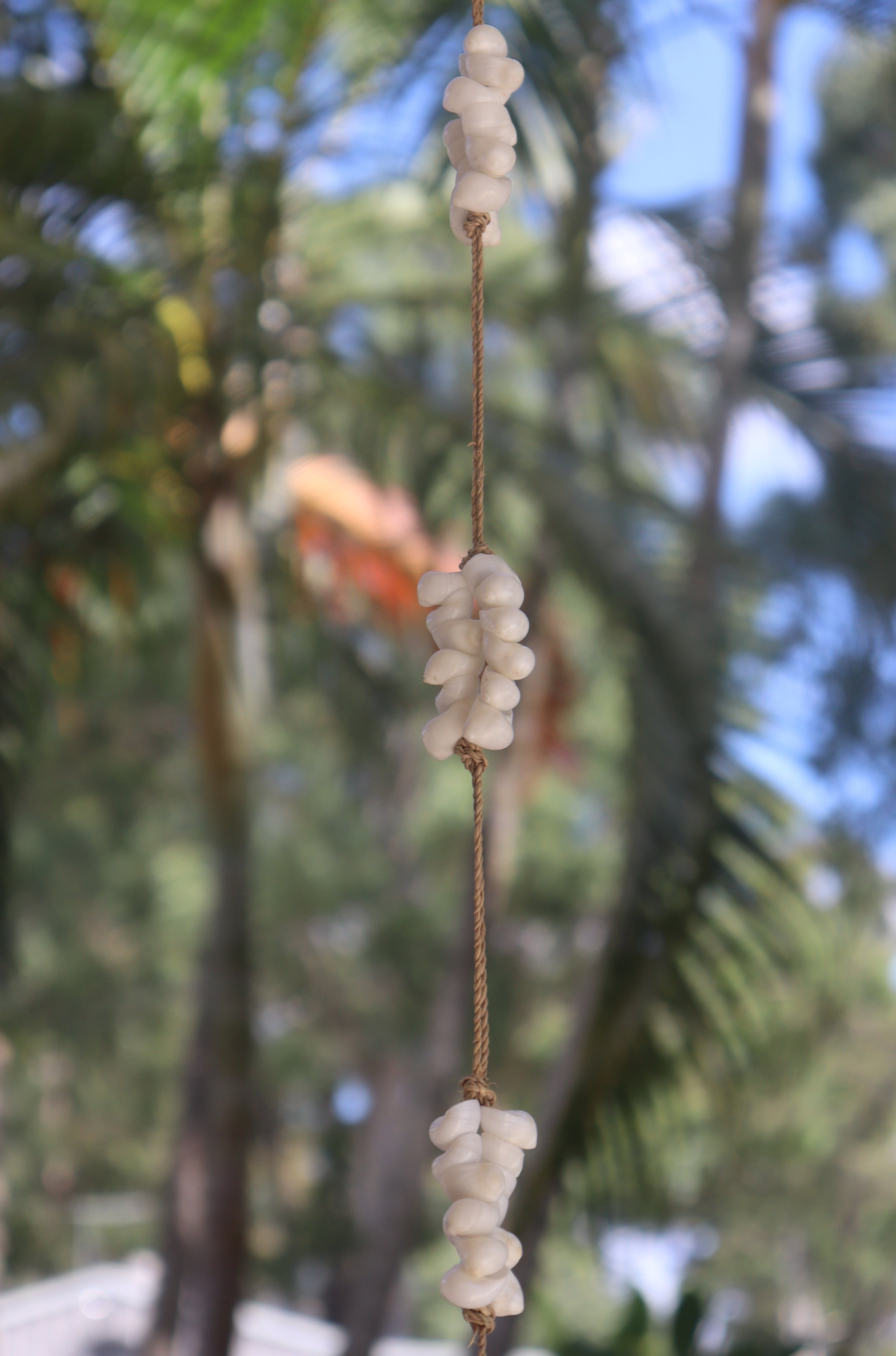 Shell String Hanging – Palms of Bali
